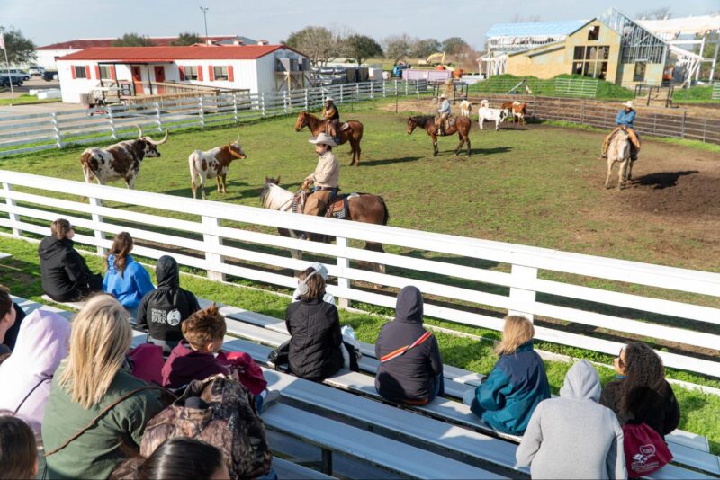 About Us - The George Foundation